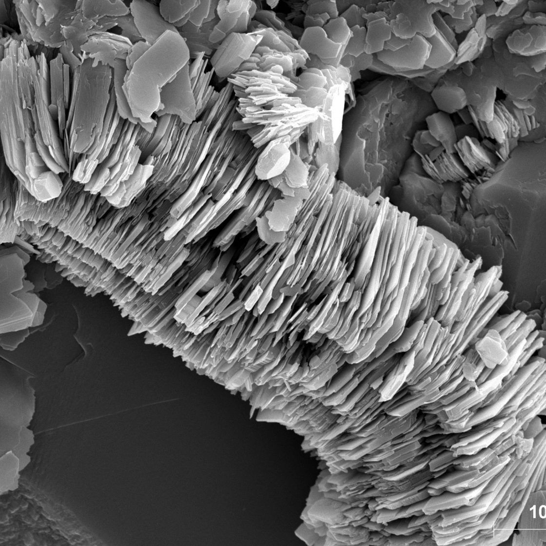 Galery – Sociedad Española de Arcillas