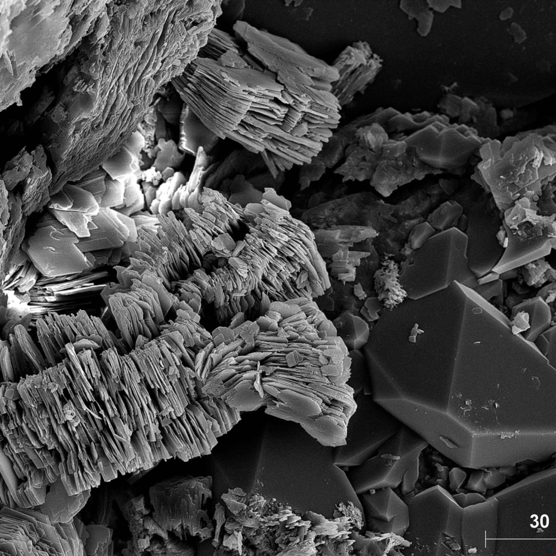 Galery – Sociedad Española de Arcillas